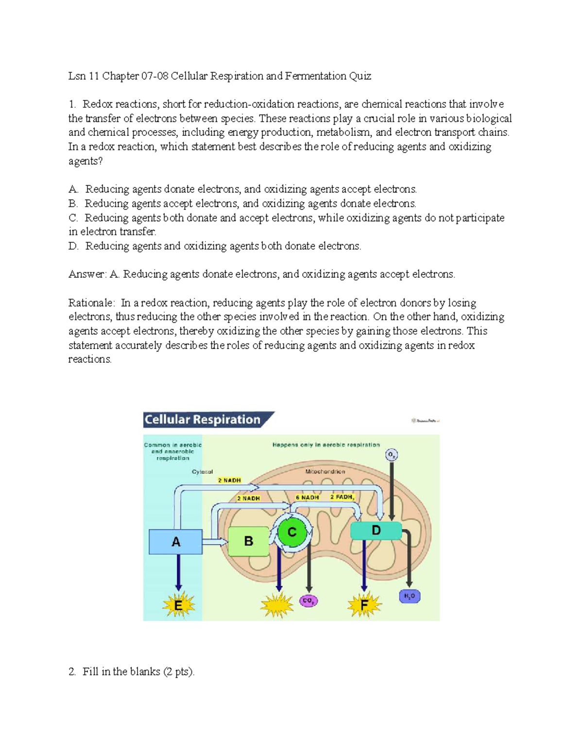 Bio 101 Lsn 11 Quiz: Cellular Respiration & Photosynthesis Mechanisms - Studocu