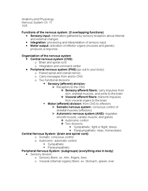 A&P 1 Exam 1 Study Guide - Subject of Anatomy and Physiology: Anatomy ...