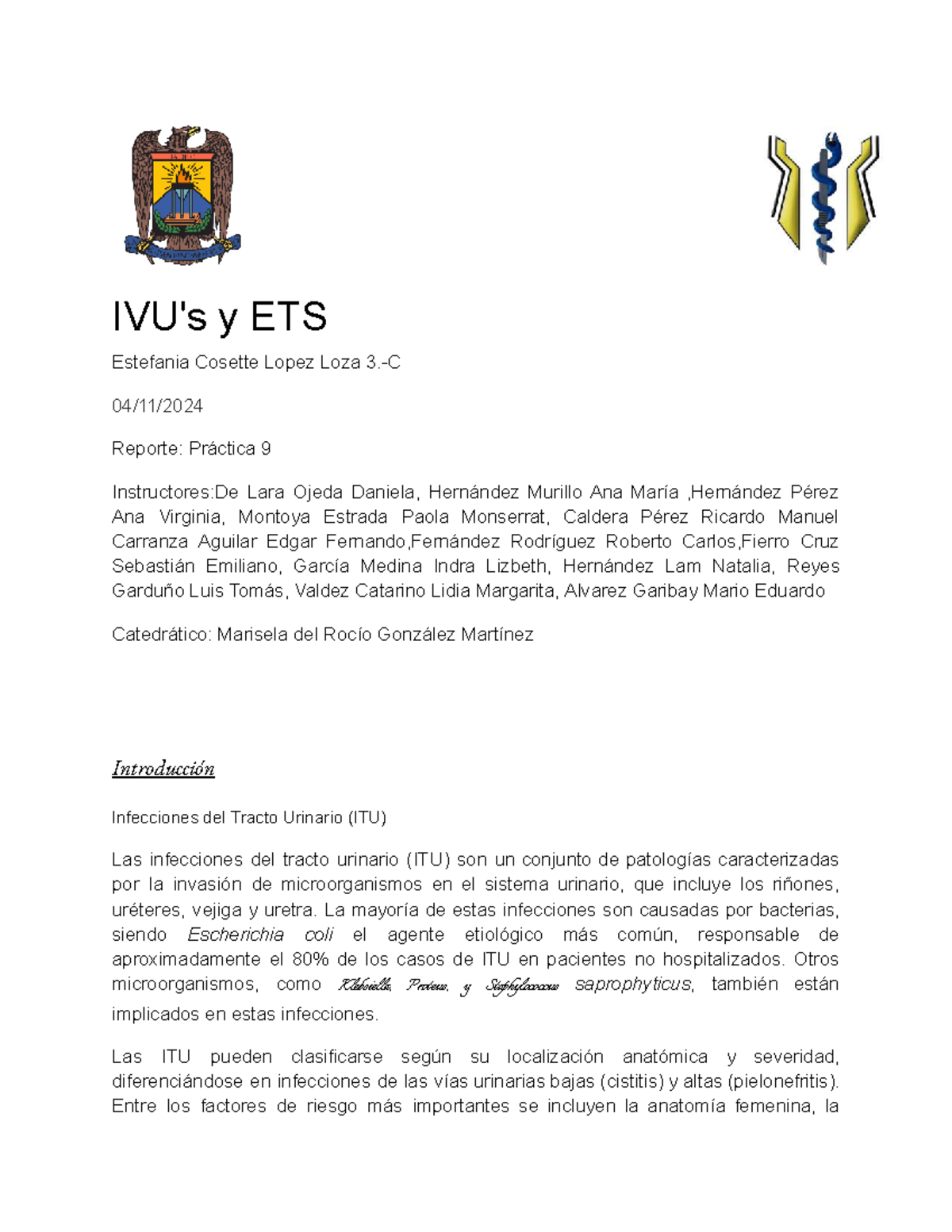 IVU y ETS: Reporte de Práctica 9 - Estefania Cosette Lopez Loza - Studocu