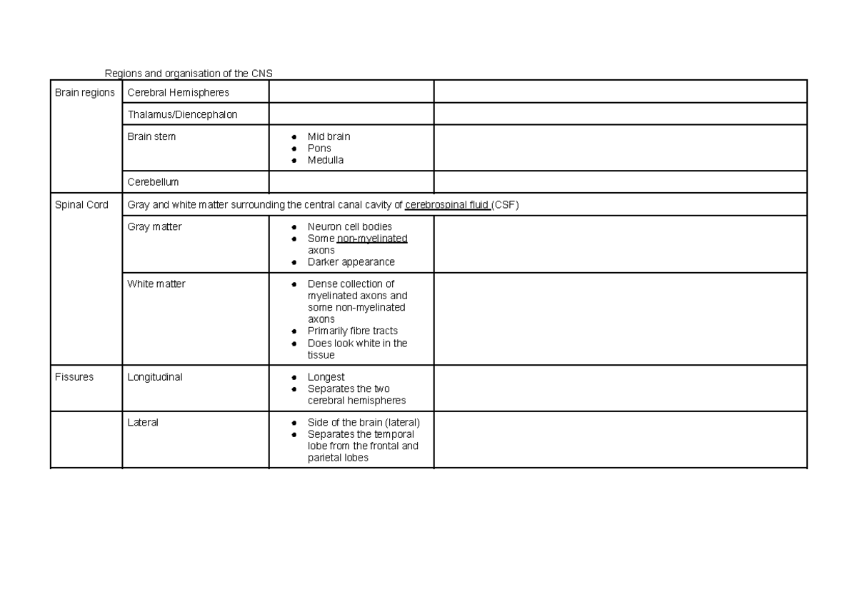 MEDI100 CNS Structure and Function Summary Notes - Studocu