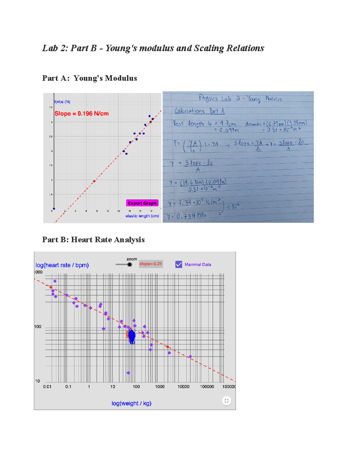 Physics 1080 Lab 2 Part B - Heart Rate Analysis & Scaling Relations - Studocu