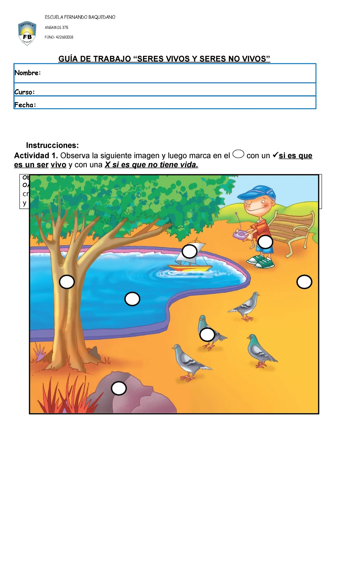 405790715 Evaluación de Ciencias Naturales - Tercero Básico 2016 - Studocu