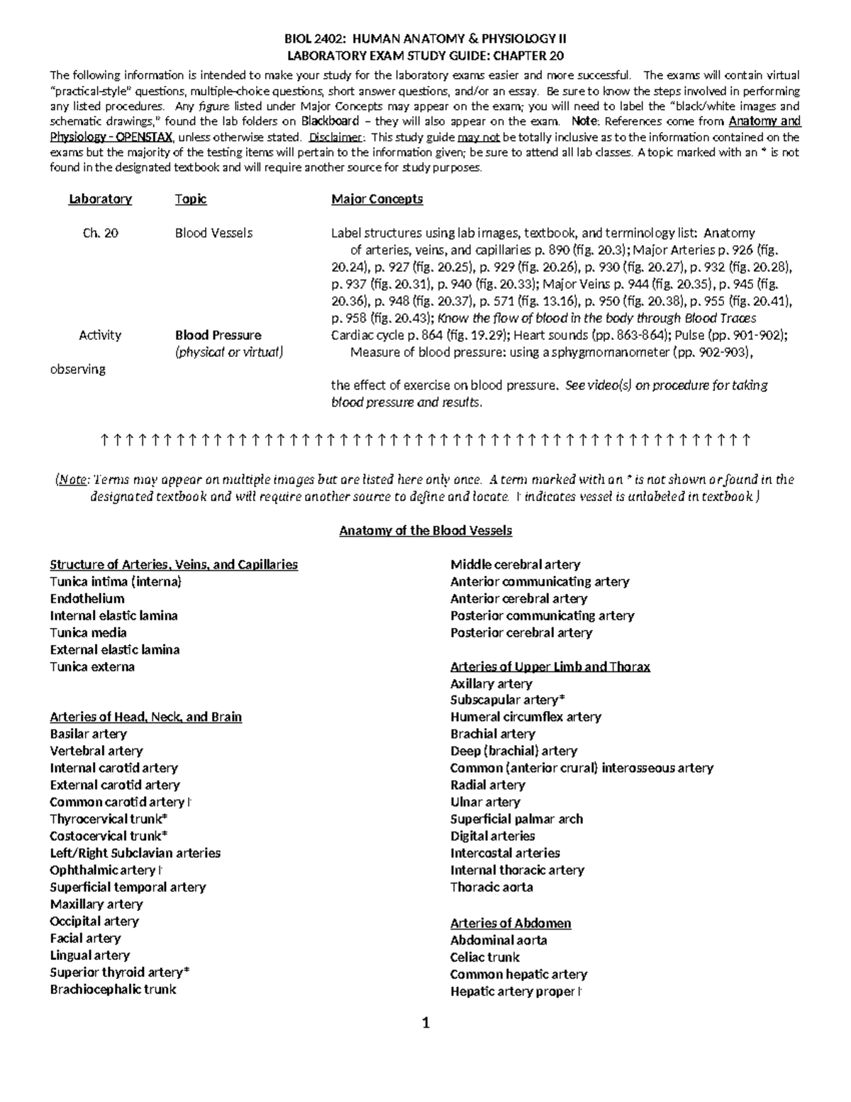 BIOL 2402: Lab Exam Study Guide for Chapter 20 - Blood Vessels - Studocu