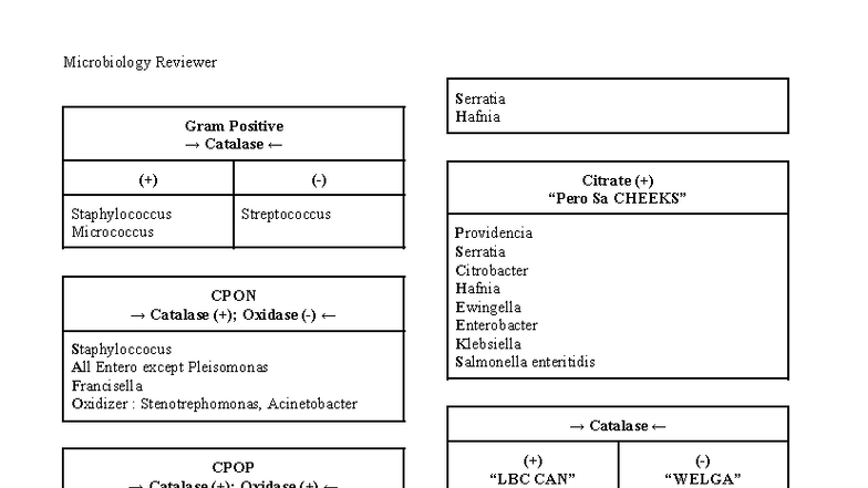Microbiology Flashcards: CPON & CPOP Review on Gram-Positive & Catalase ...