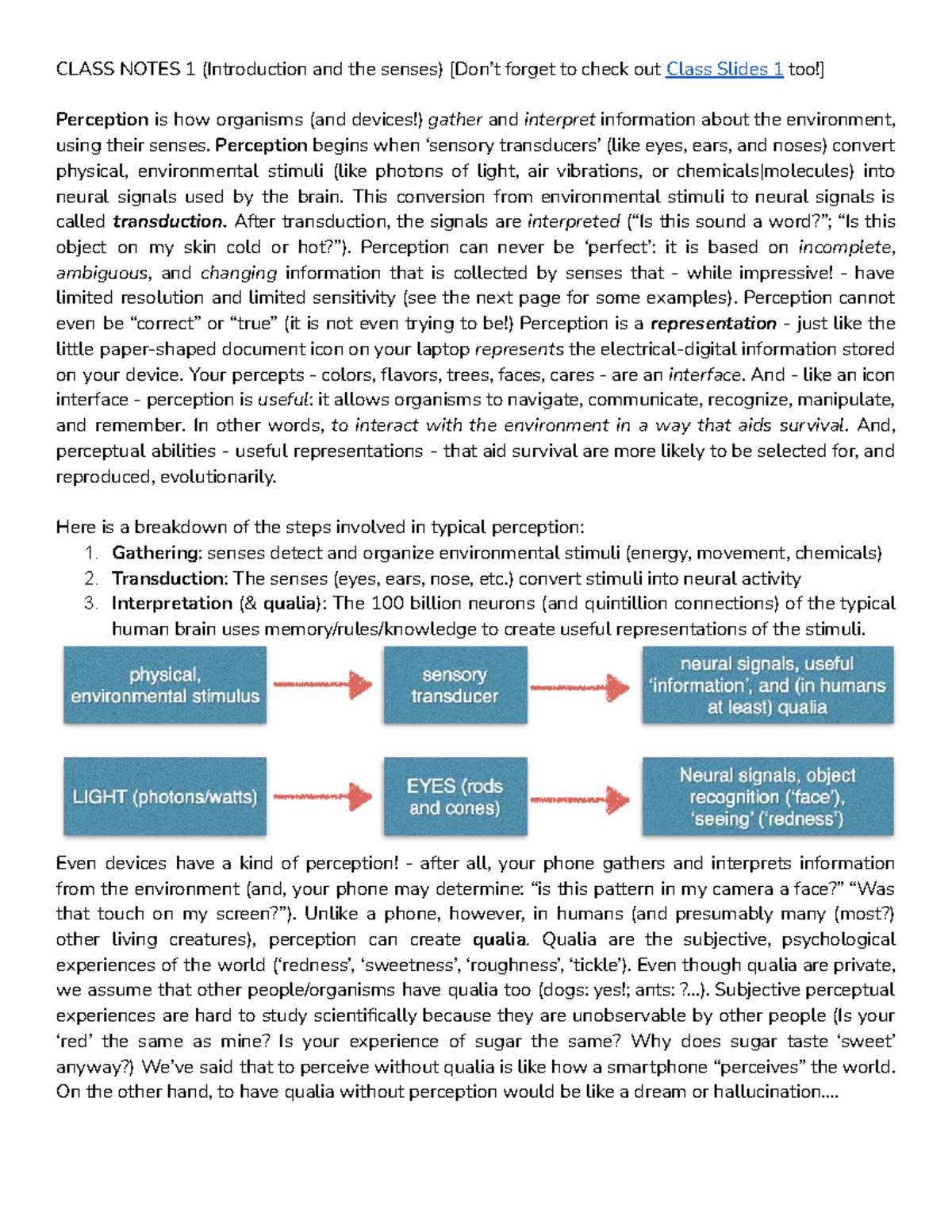 Class 1 Notes: Intro to Perception & the Senses - Studocu