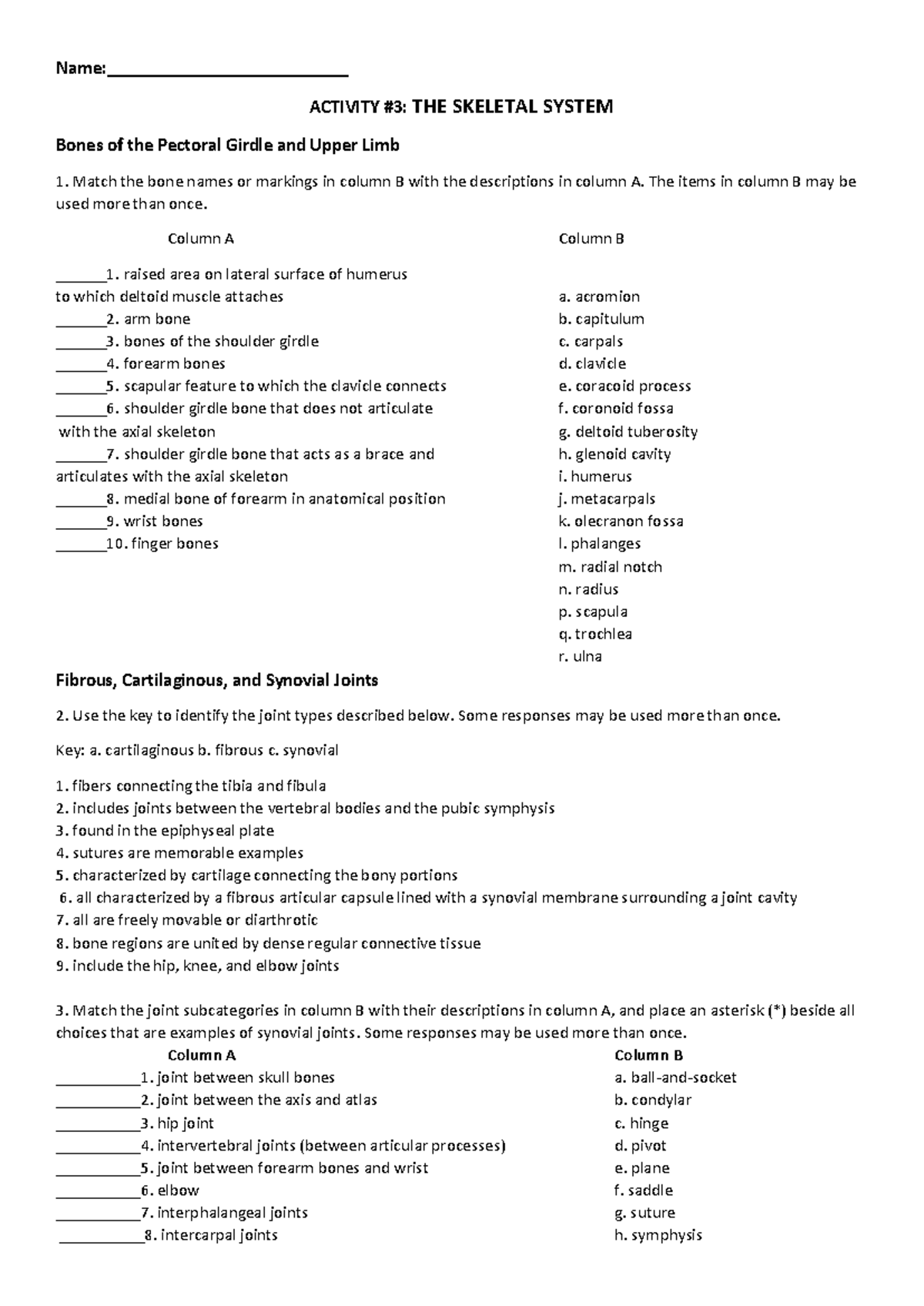 Skeletal System Activity (Quiz) - Bones & Joints Overview - Studocu