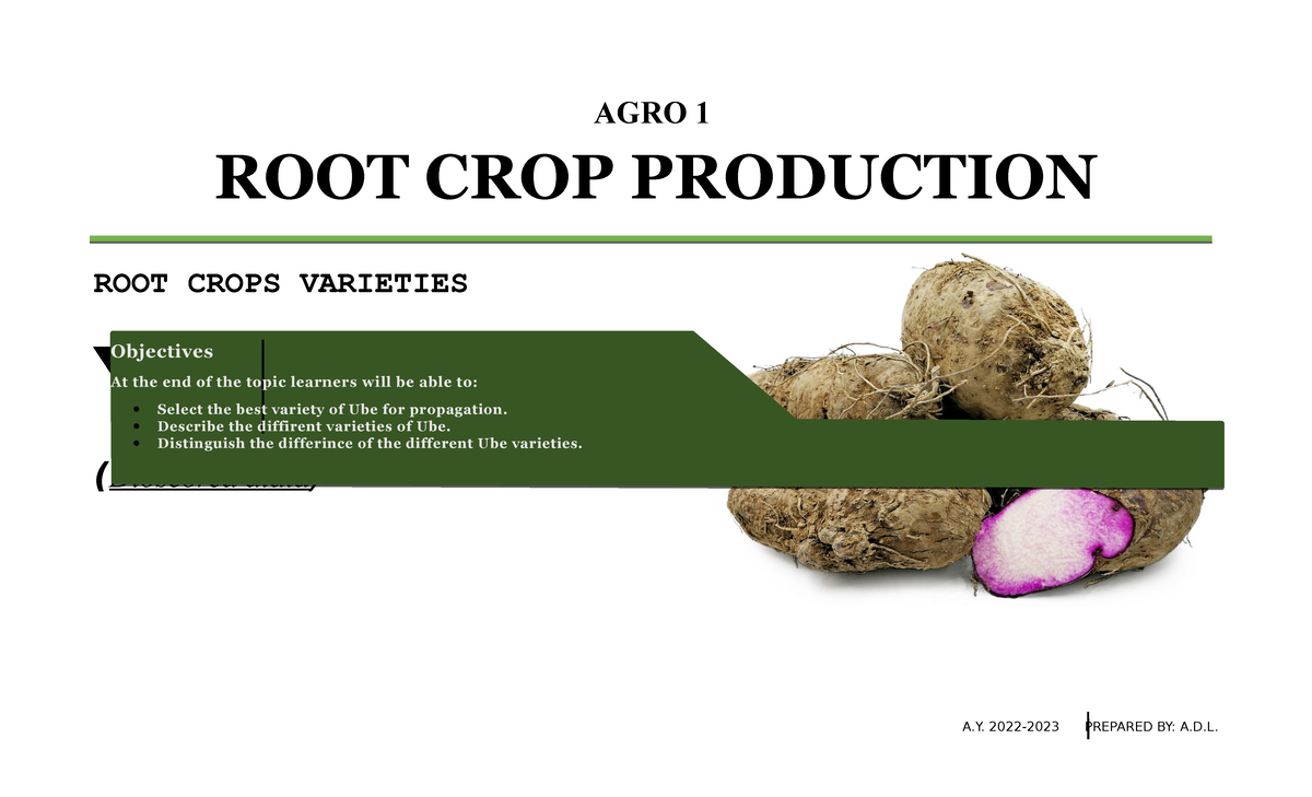 YAM UBE Varieties Overview for AGRO 1 Course - Studocu