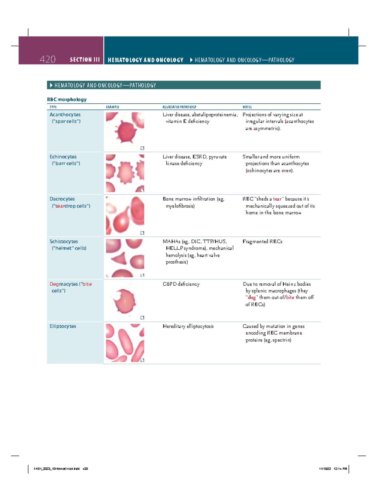 First aid cardiovascular - 420 SEC TION III HEMATOLOGY AND ONCOLOGY ...