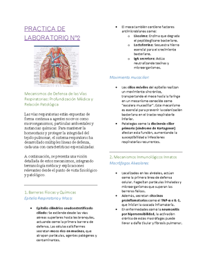 GU%C3%8DA Anatom%C3%8DA+ Patol%C3%93GICA MH-620 2025-1 - CONTENIDO ...