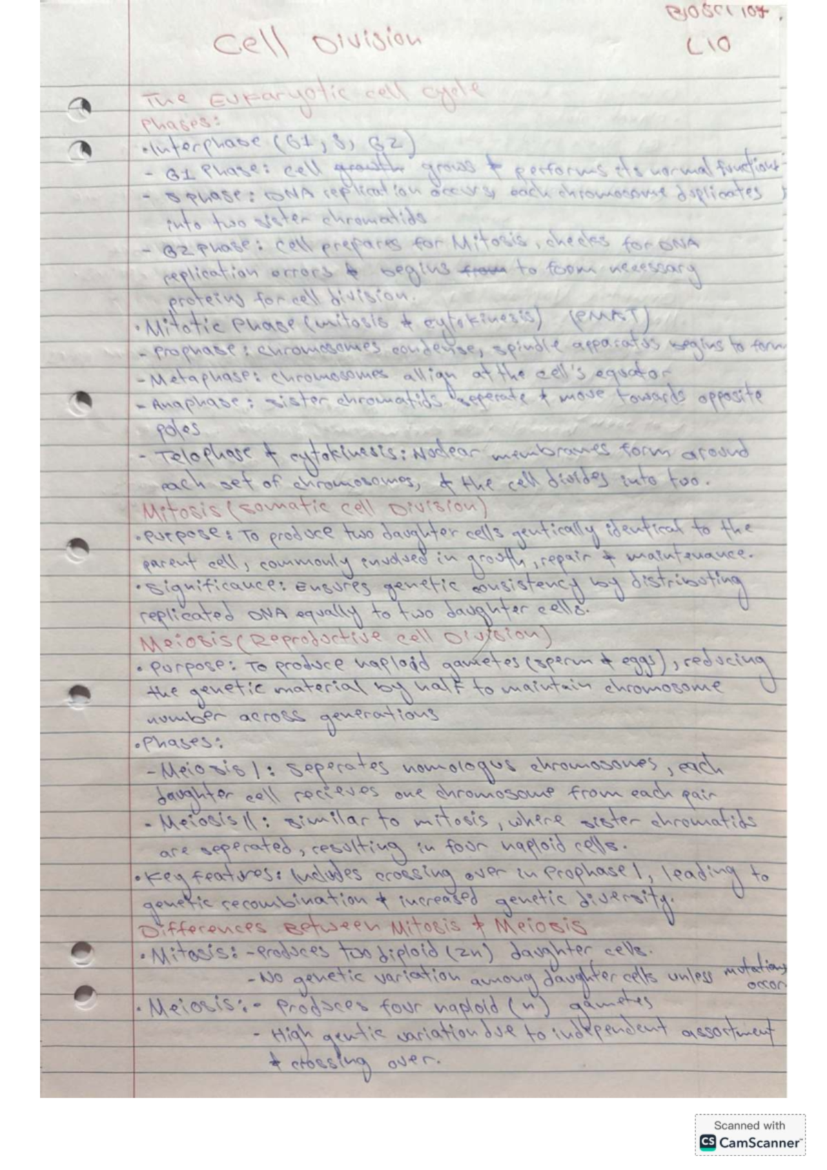 BIOSCL 10F: Cell Division L10 - Eukaryotic Cell Cycle Phases Notes ...