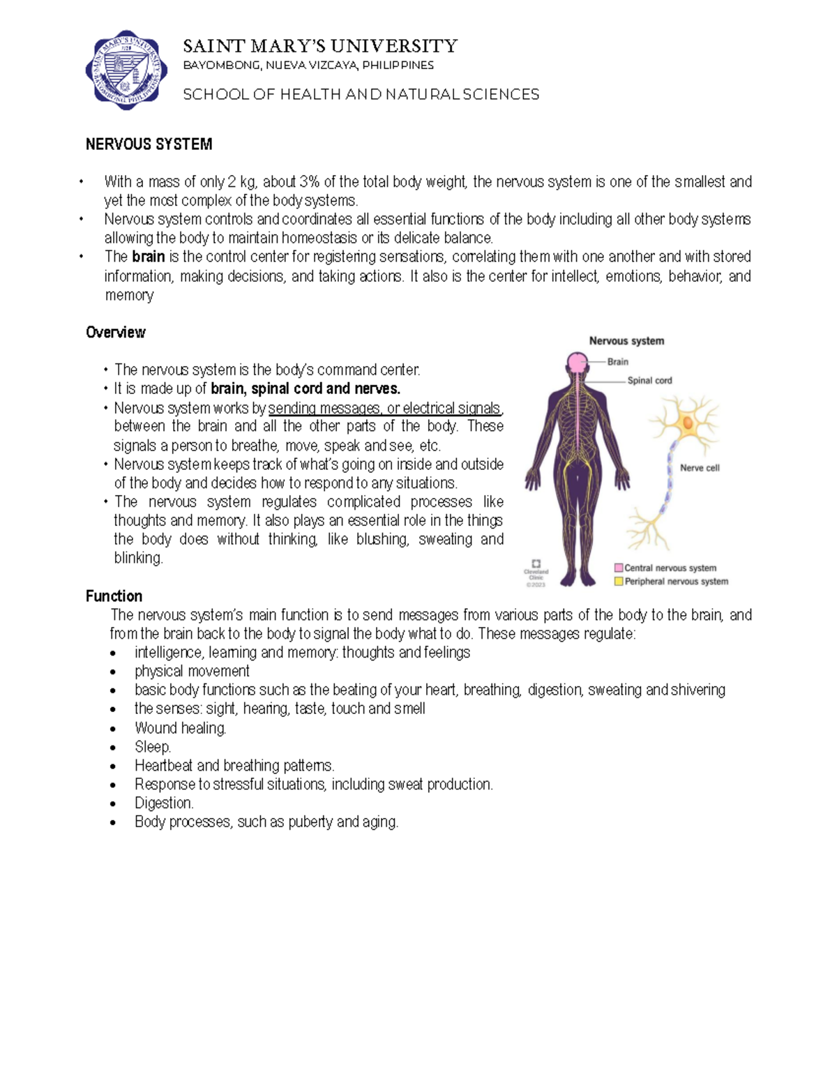Nervous System Overview and Functions - SAINT UNIVERSITY Notes - Studocu