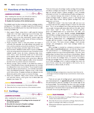 SCI 20 Anatomy & Physiology: Lymphatic System Lesson Plan by Julie Ann ...
