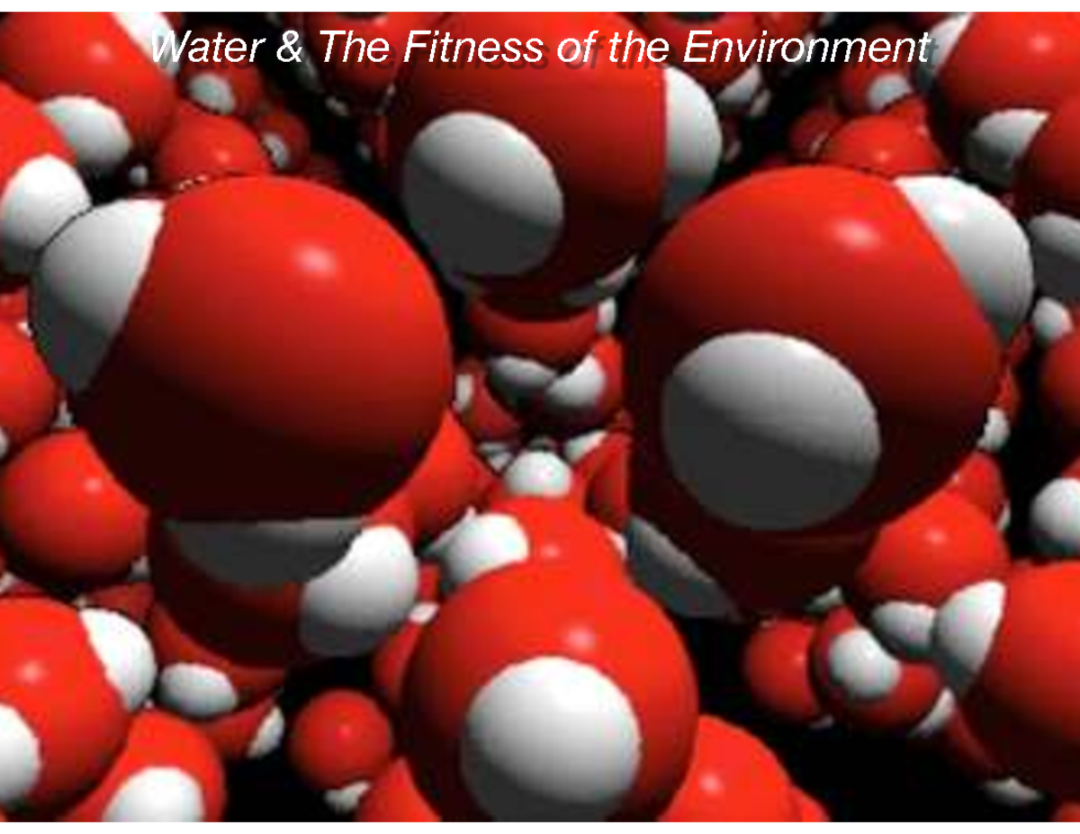 Cohesion, Adhesion & Properties of Water - Biology Notes (BIO 101 ...