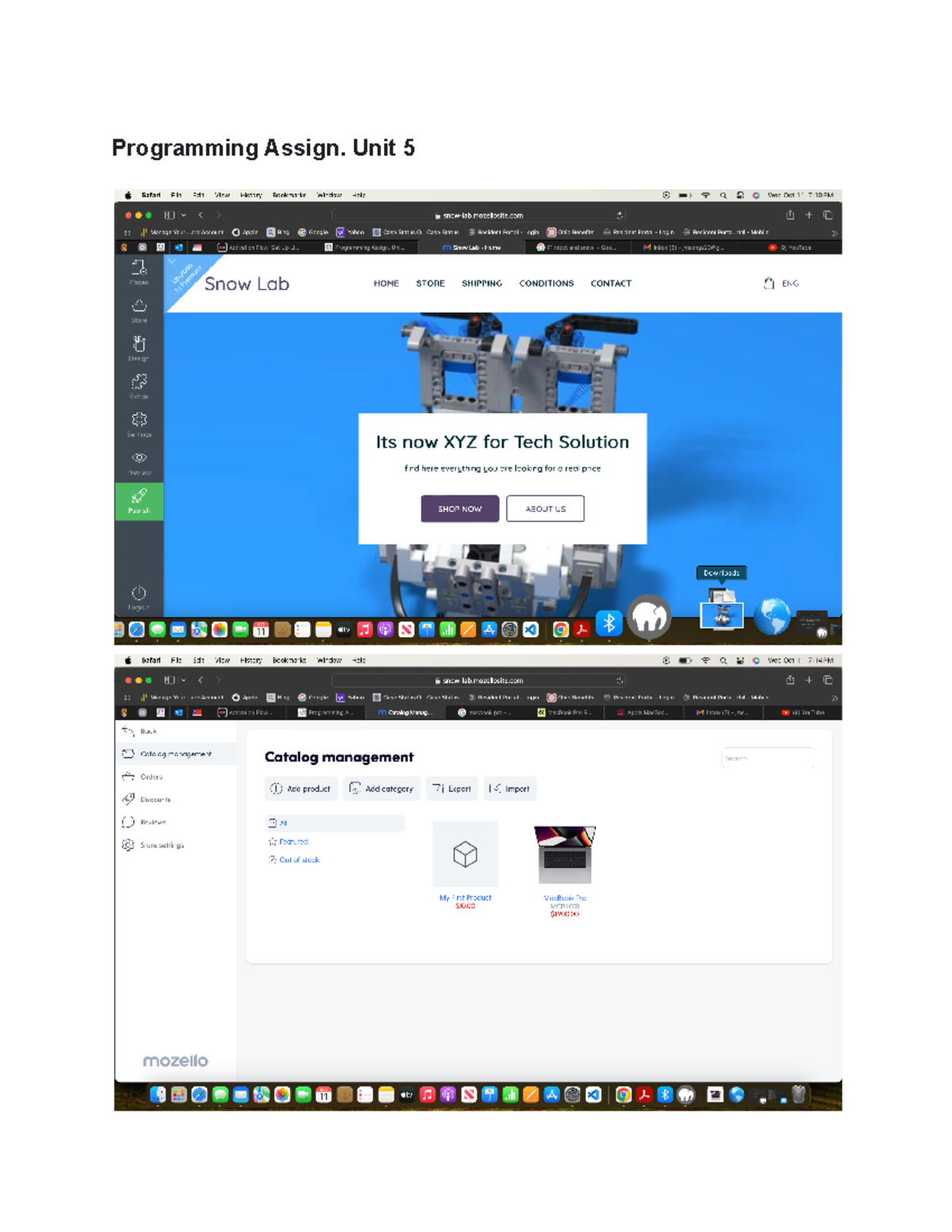 Unit 5: Programming Assignment Overview and Guidelines - Studocu