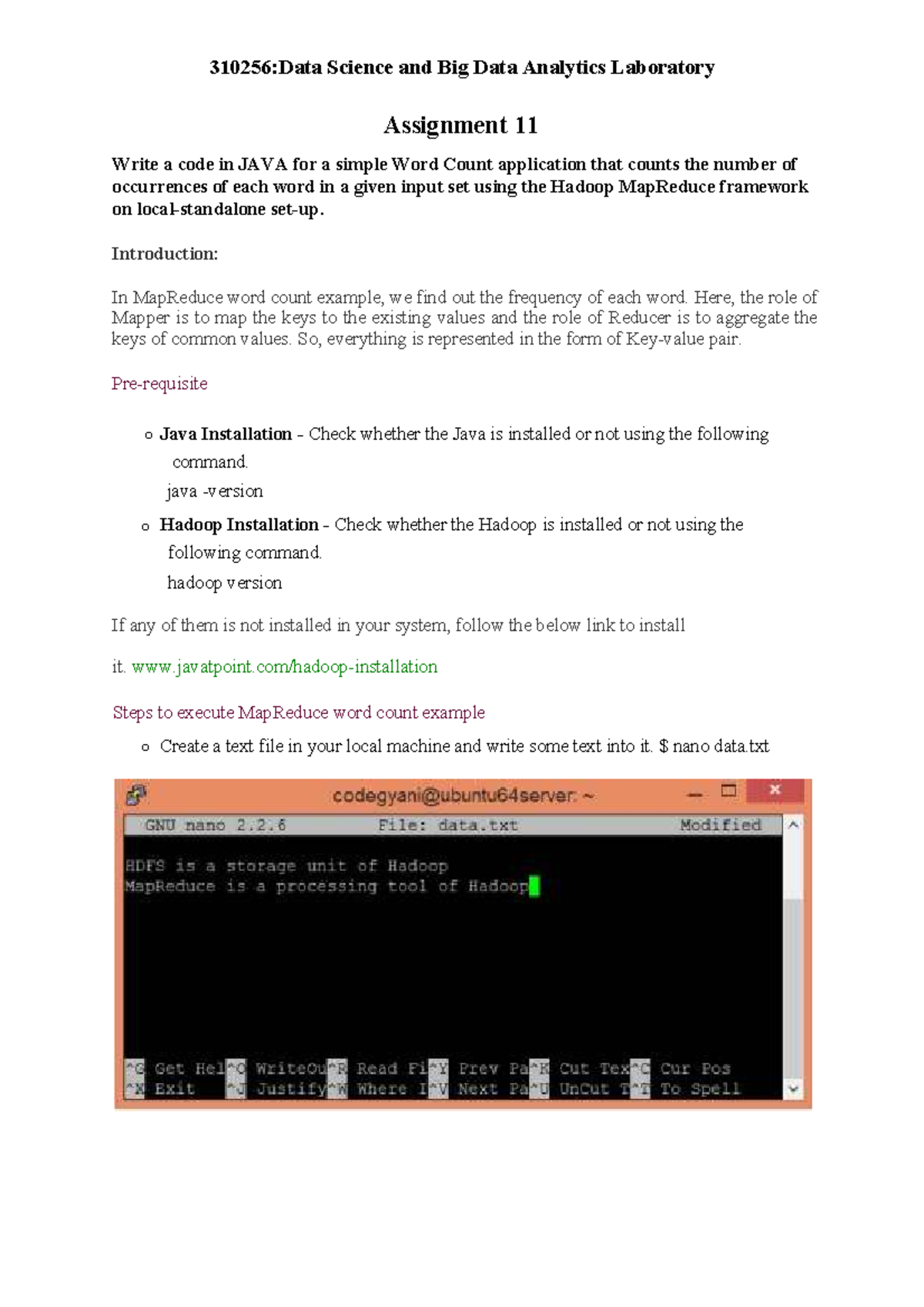 310256: Data Science & Big Data Lab Assignment 11 - Word Count in Java ...