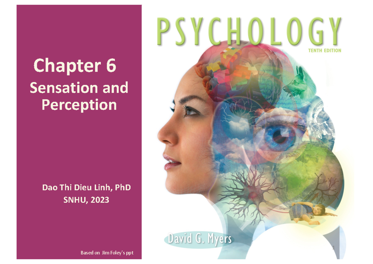 Unit5 Chap6 sensation perception - Based on Jim Foley’s ppt Chapter 6 ...