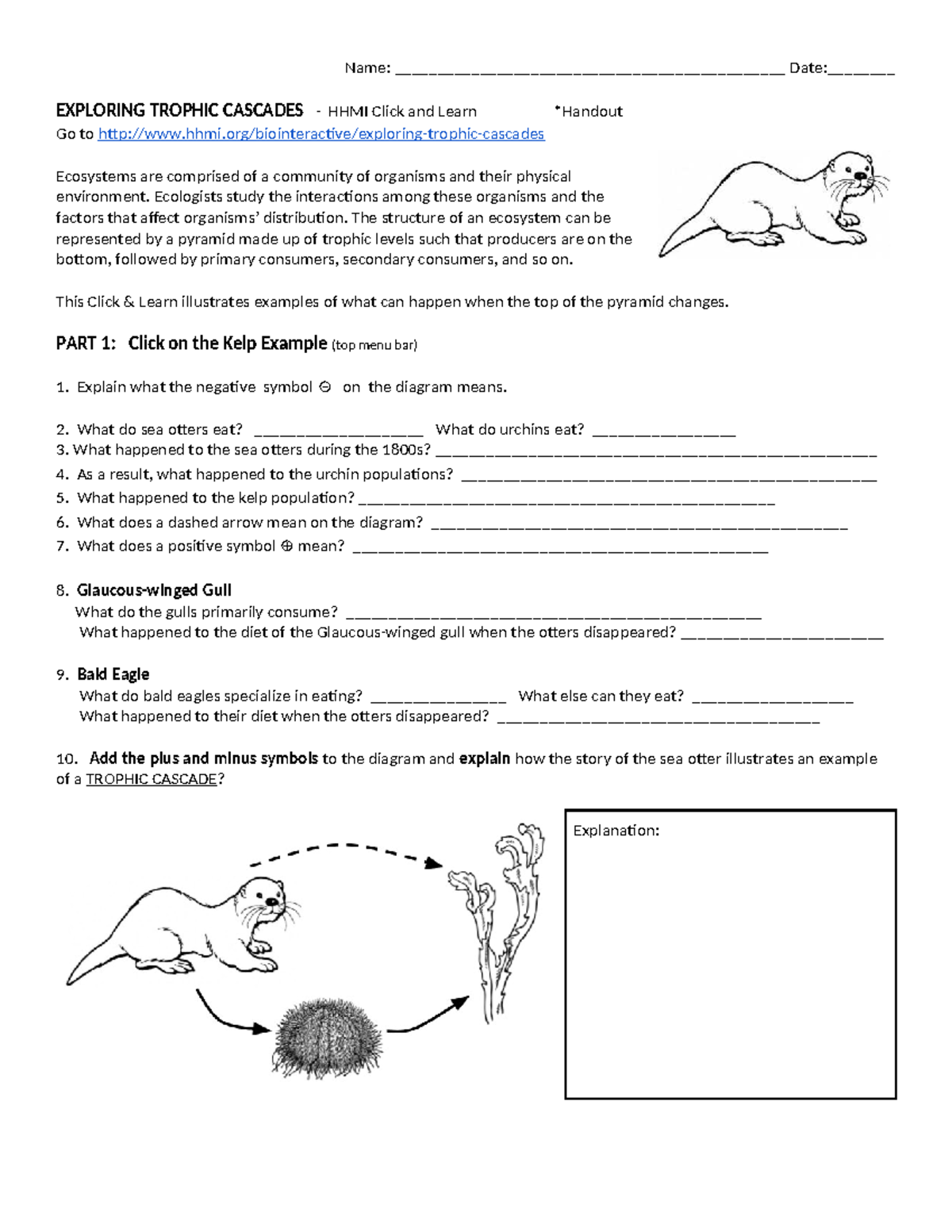 HHMI Click and Learn: Exploring Trophic Cascades in Ecosystems - Studocu
