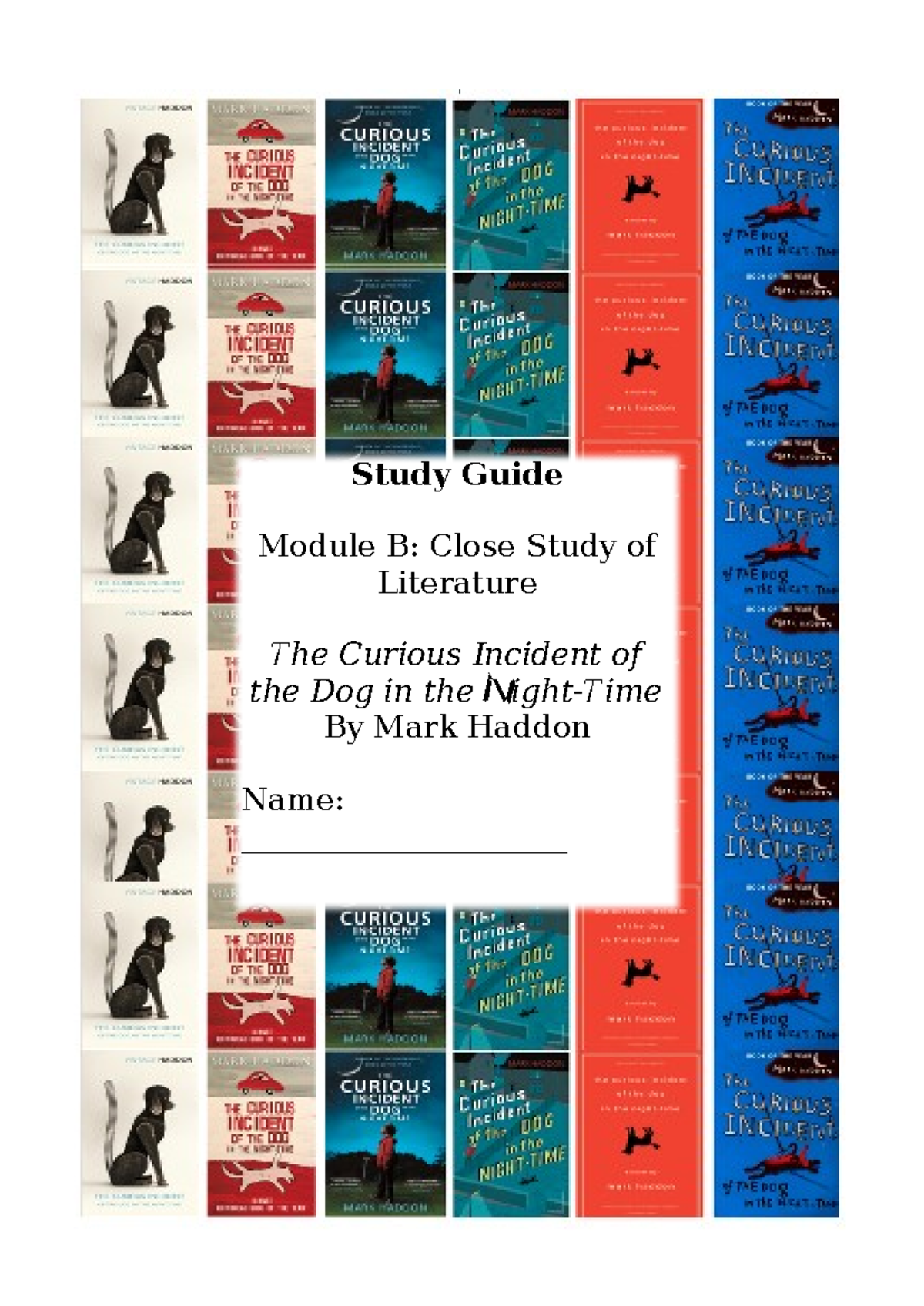 Curious Incident of the Dog in the Night-Time Study Guide 2024-1 - Studocu