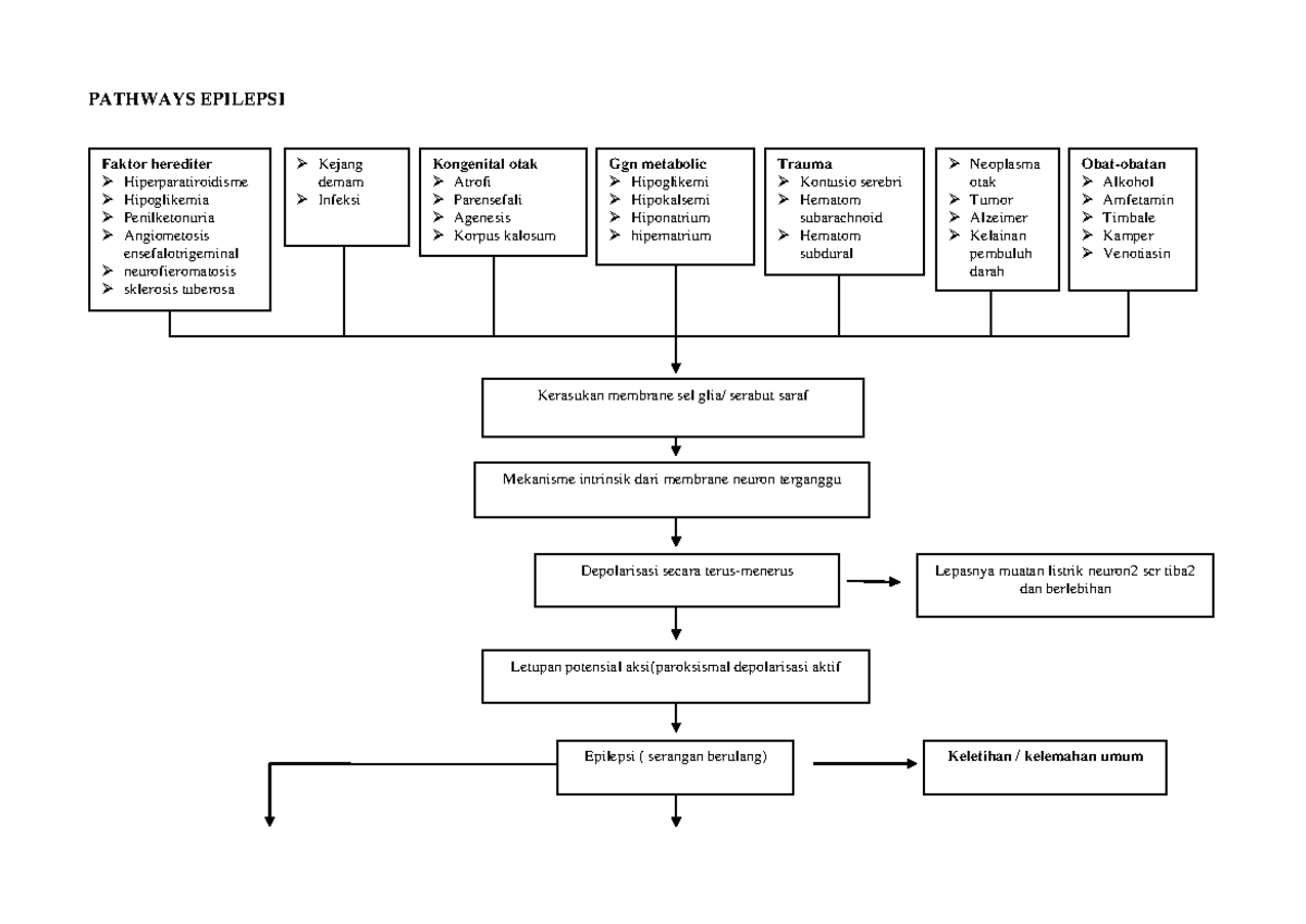 Pathway to Understanding Epilepsy: Causes and Mechanisms - Studocu