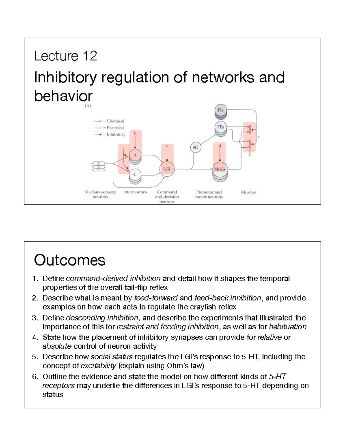 Inhibitory Regulation of Networks and Behavior: Lecture 12 Notes - Studocu