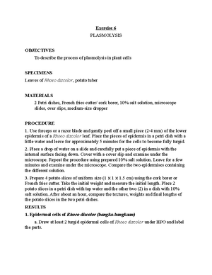 3 sentence completion tests - SENTENCE COMPLETION TEST: Semi-structured ...