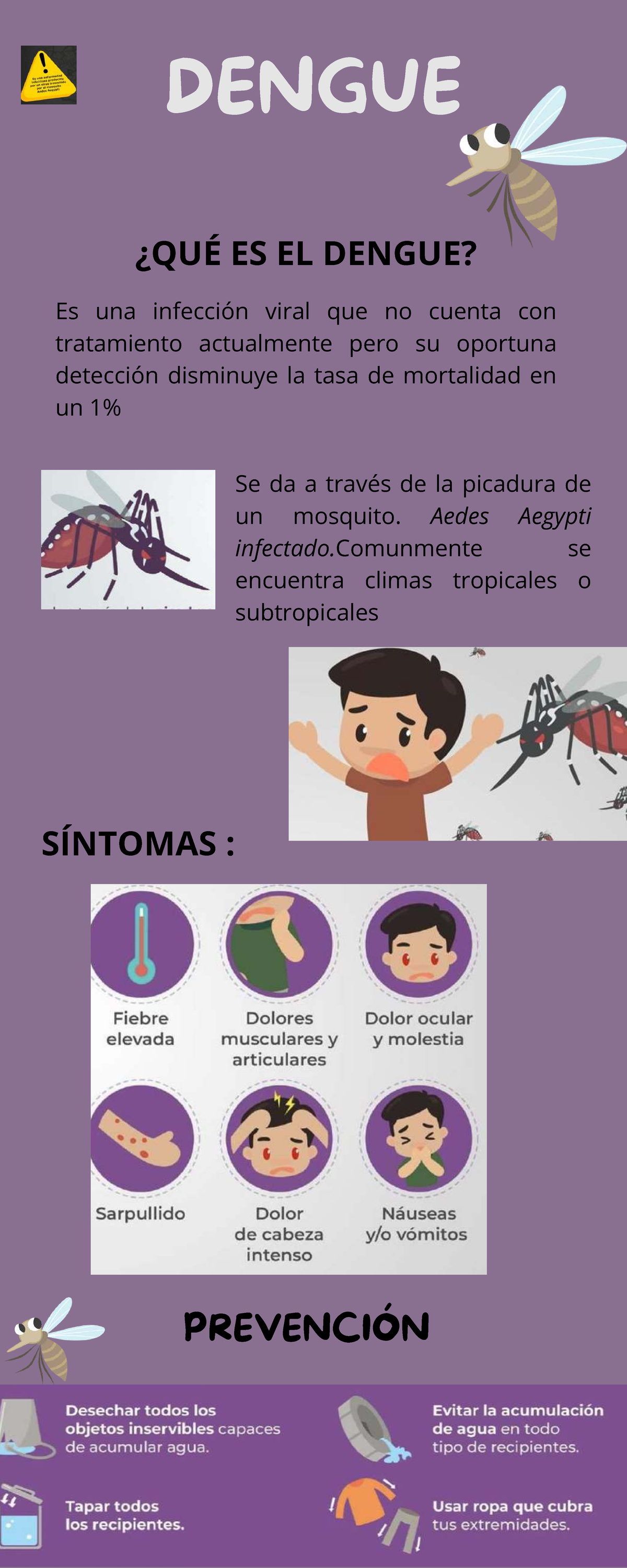 Infografía dengue - Leere - Derecho Informático - DENGUE SÍNTOMAS ...