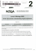 NCEA level - 12 (NCEA 2) - National Certificate of Educational ...