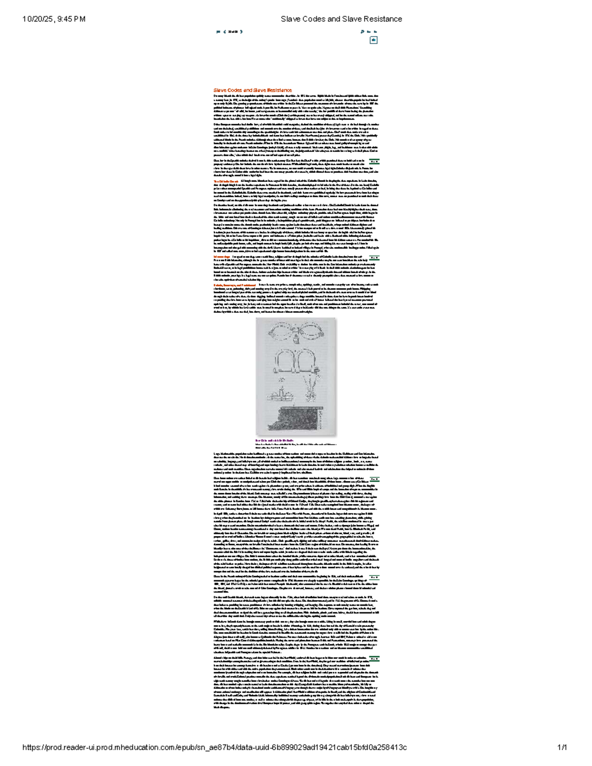 Slave Codes and Resistance in the Caribbean and Latin America: A Study ...