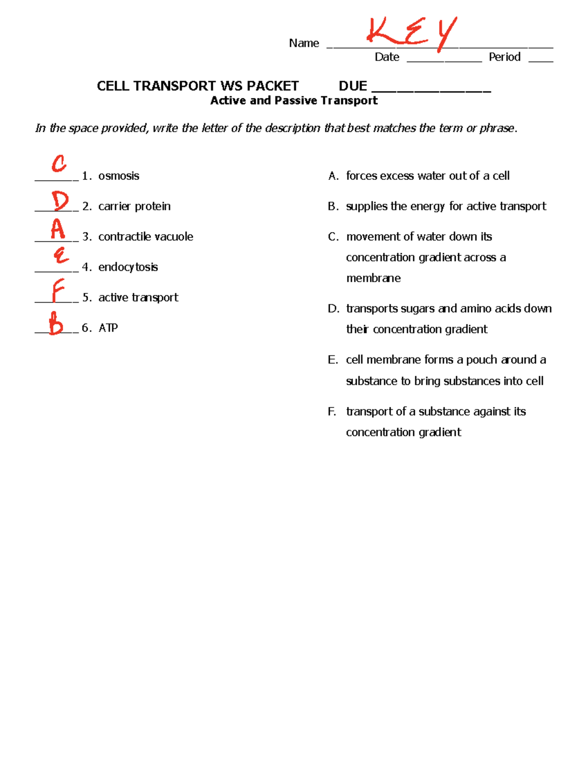 Cell Transport WS & Osmosis Experiment Analysis (BIO 101) - Studocu