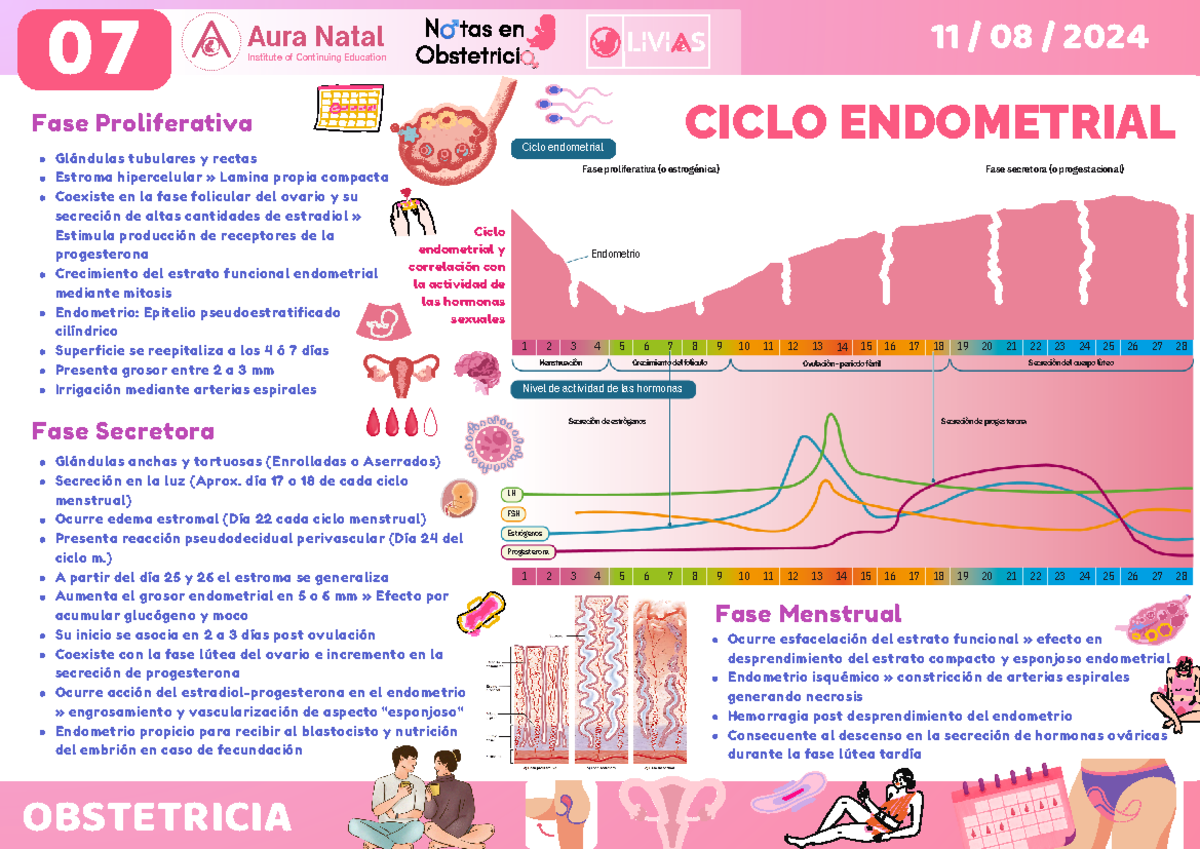 07 Ciclo Endometrial by KMLM 20240811 135641 0000 - OBSTETRICIA Aura ...