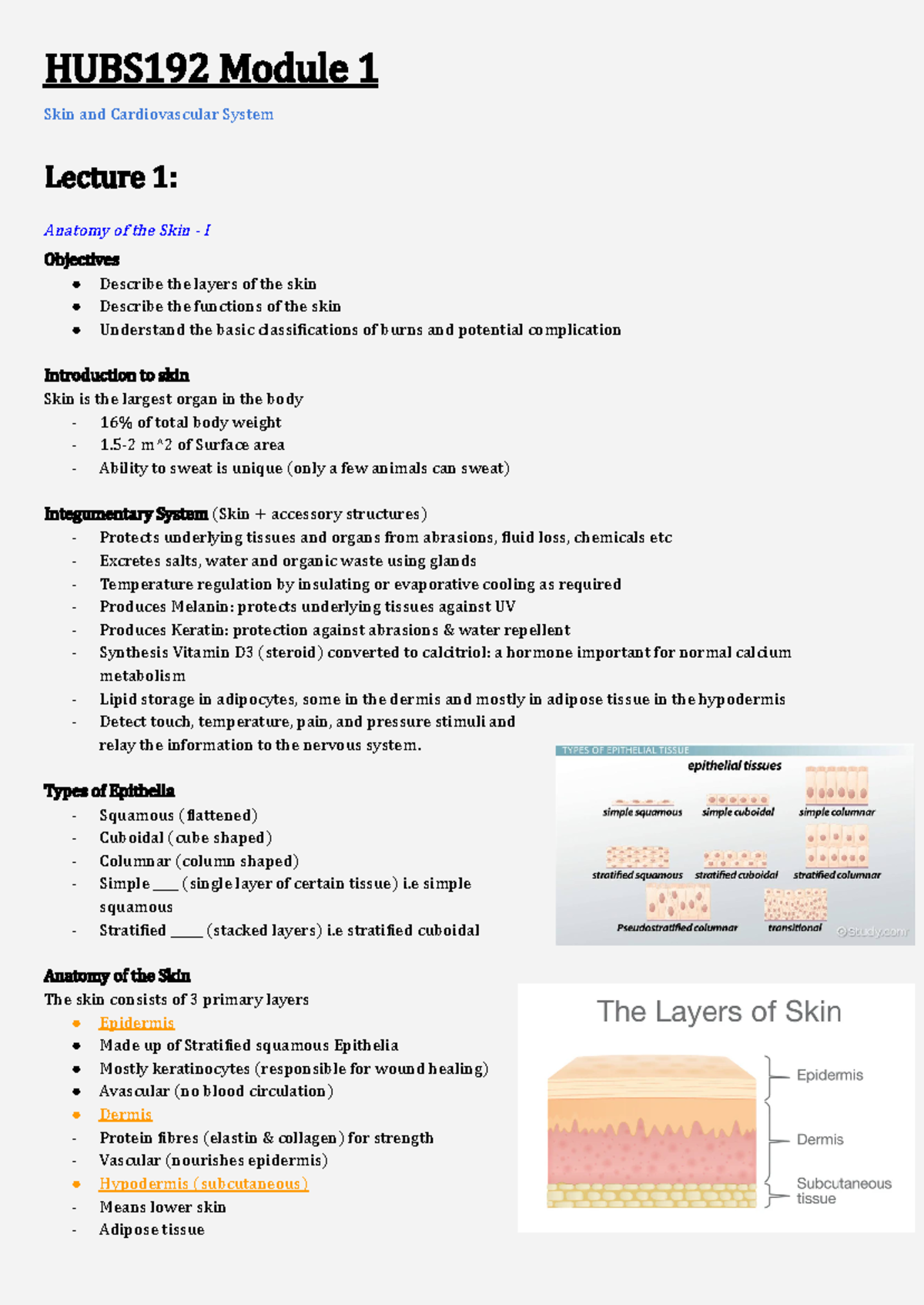 HUBS192 Human Body Systems - Module 1: Skin & Cardiovascular Overview ...