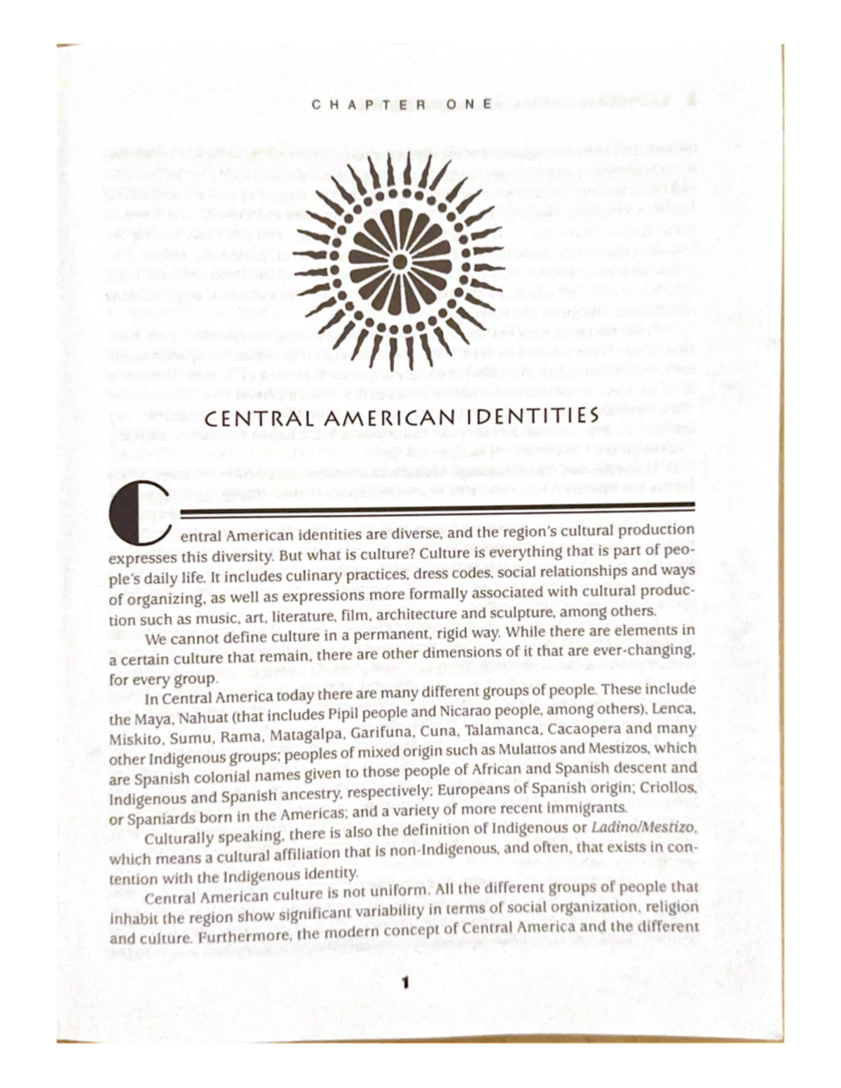 Central American Identities: A Cultural Exploration Essay - CHAPTER ONE ...