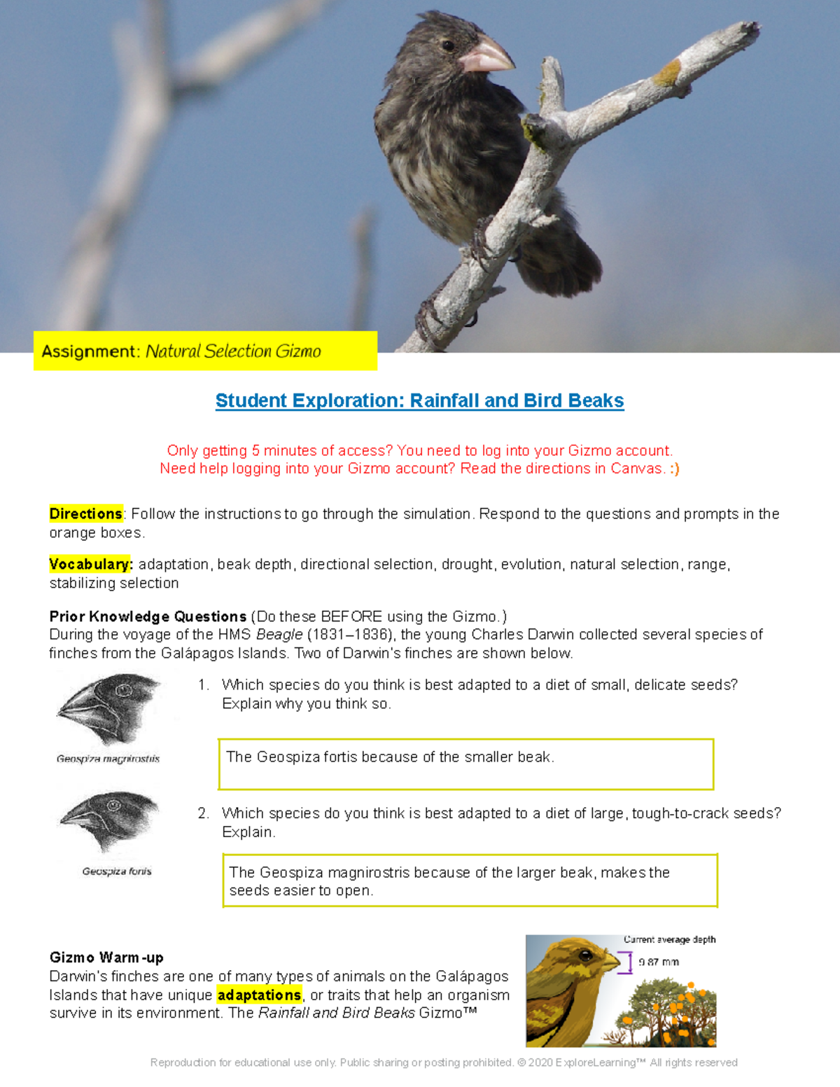 Natural Selection and Finch Adaptations: Rainfall Impact Gizmo ...