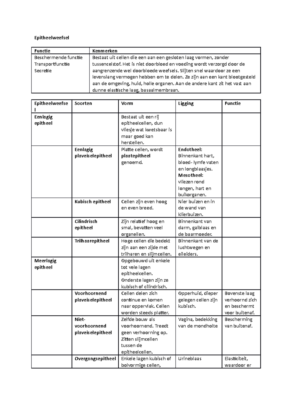 Epitheelweefsel: Kenmerken en Functies - Weefselomschrijving 101 ...