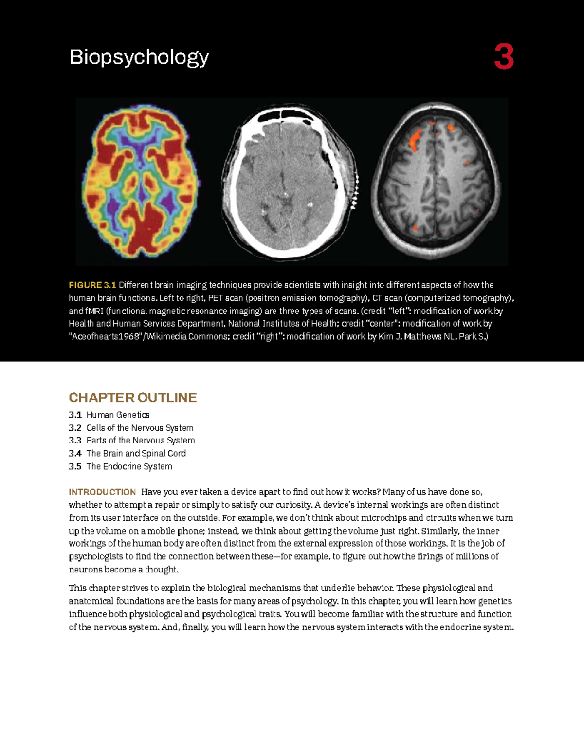 Biopsychology CH 3 & 4: Genetics, Nervous System, and Brain Functions ...