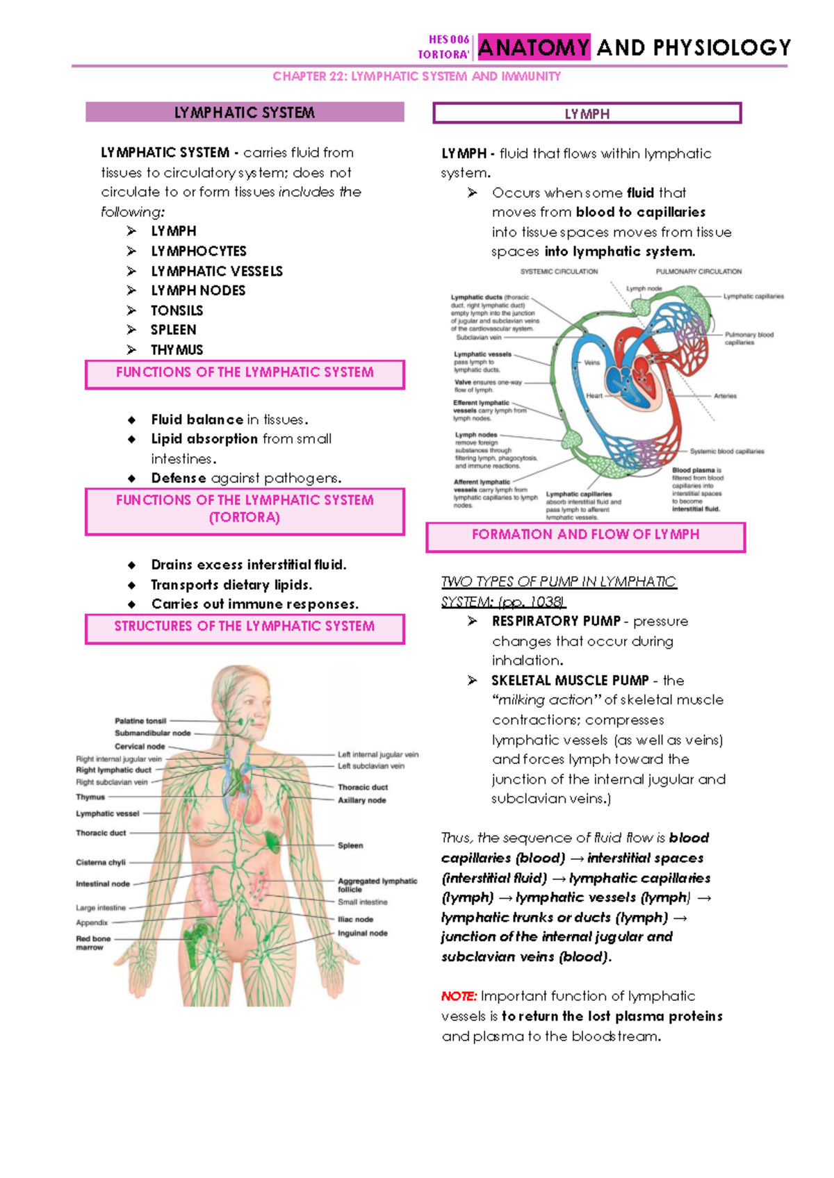 HES006 Chapter 22: Lymphatic System and Immunity Overview - Studocu