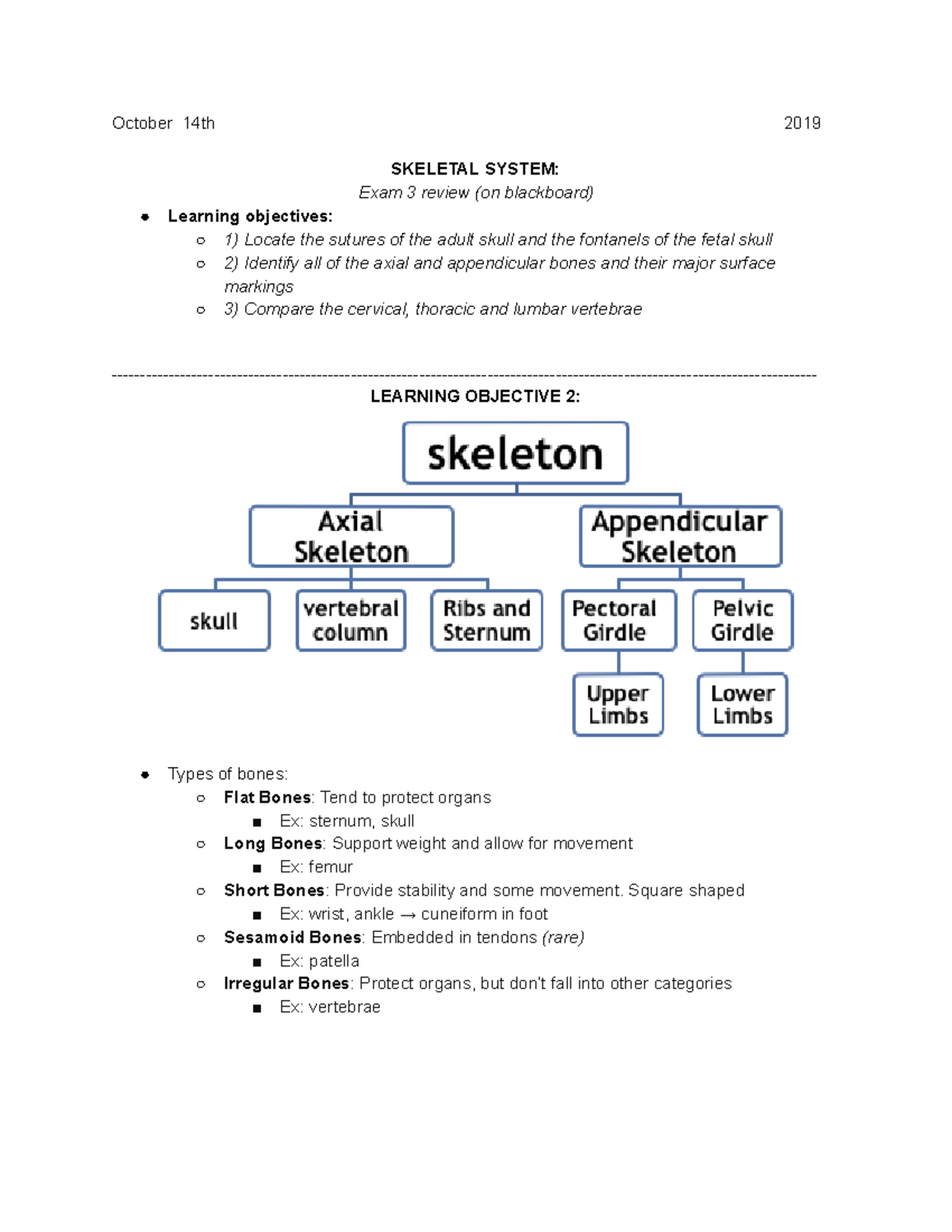 BIO 101 Exam 3 Study Guide: Skeletal System Review and Bone Growth ...