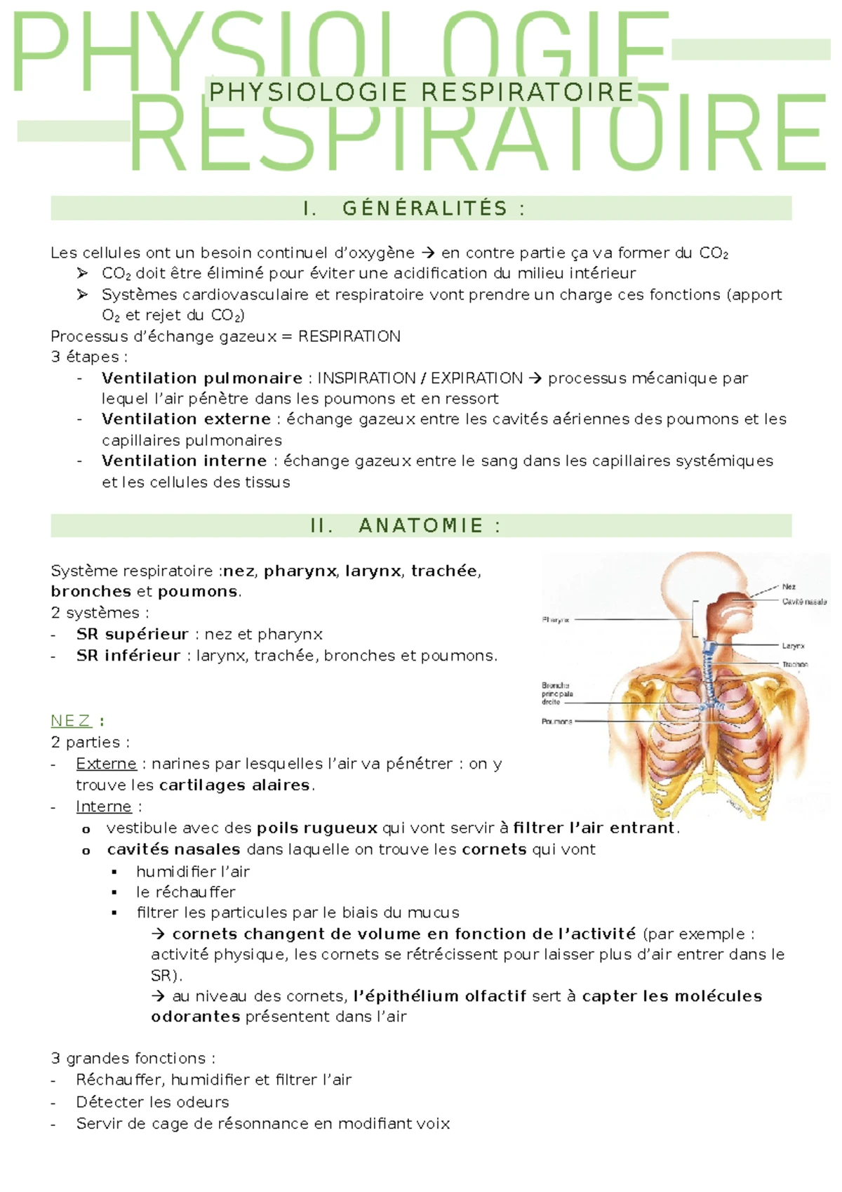 Appareil respiratoire - Anatomie générale de l’appareil respiratoire Les poumons Les plèvres La ...