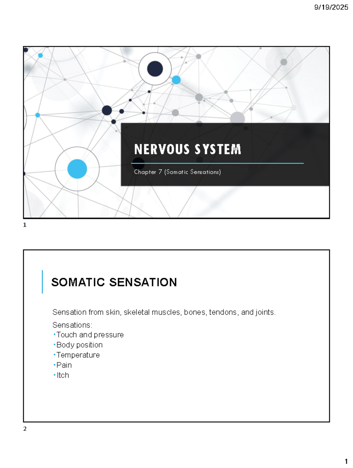 Nervous System Chapter 7: Somatic Sensations & Pain Modulation - Studocu