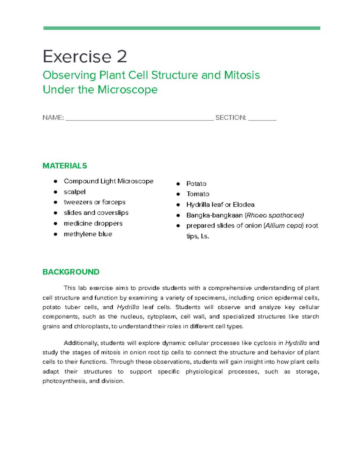 APMP-Exercise-2: Observing Plant Cell Structure & Mitosis - Studocu