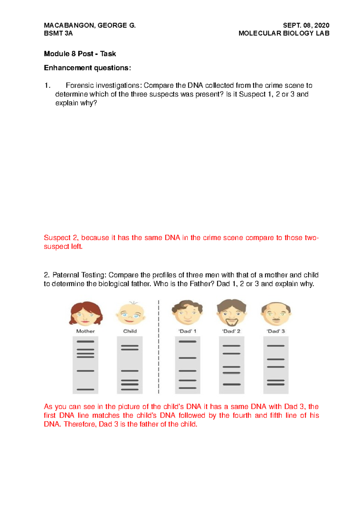 Module 8 Post lab - Forensic investigations: Compare the DNA collected ...