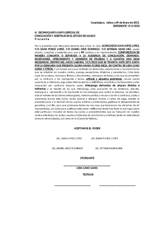 ACTA Constitutiva DE LA Comision Mixta RIT - Formato sugerido de Acta ...