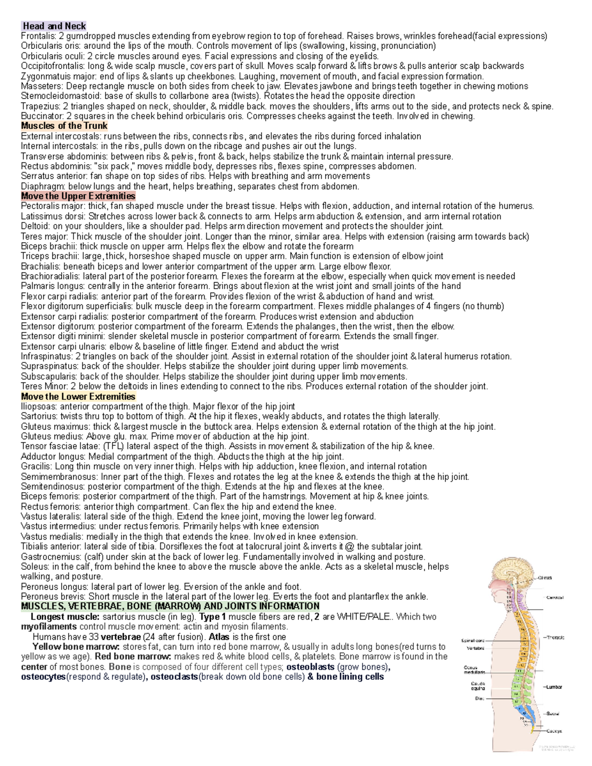 Copy of Anatomy - Notes of 2025 list science olympiad - Head and Neck ...