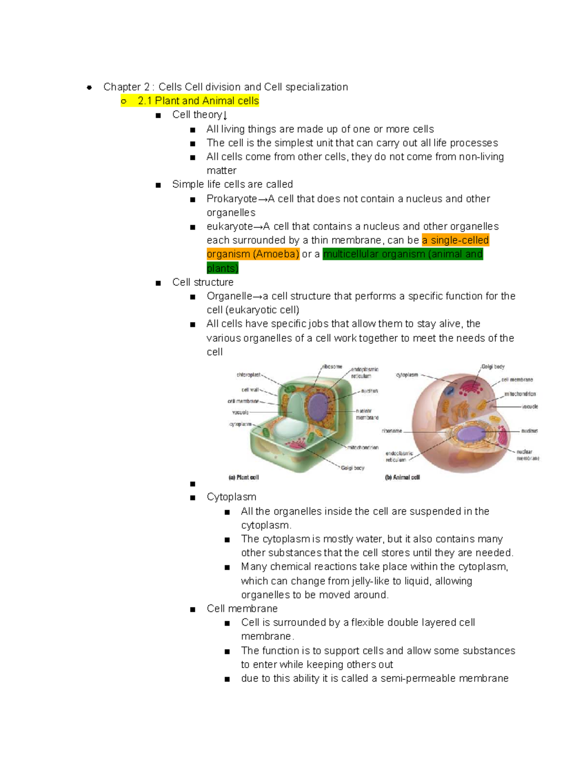 Chapter 2: Cells, Cell Division & Specialization (BIO 101) - Studocu
