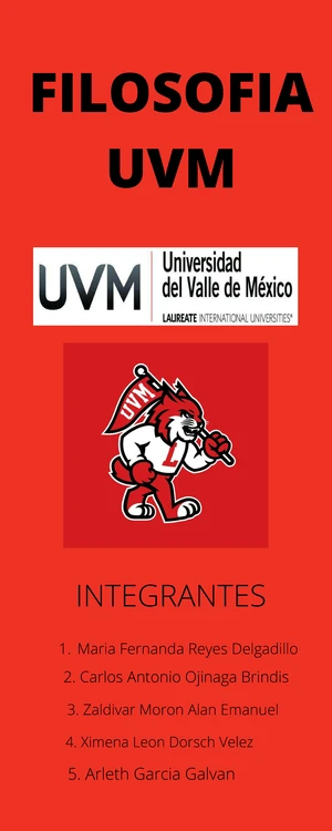 Misión y Visión de la Universidad UVM: Principios y Valores - Studocu