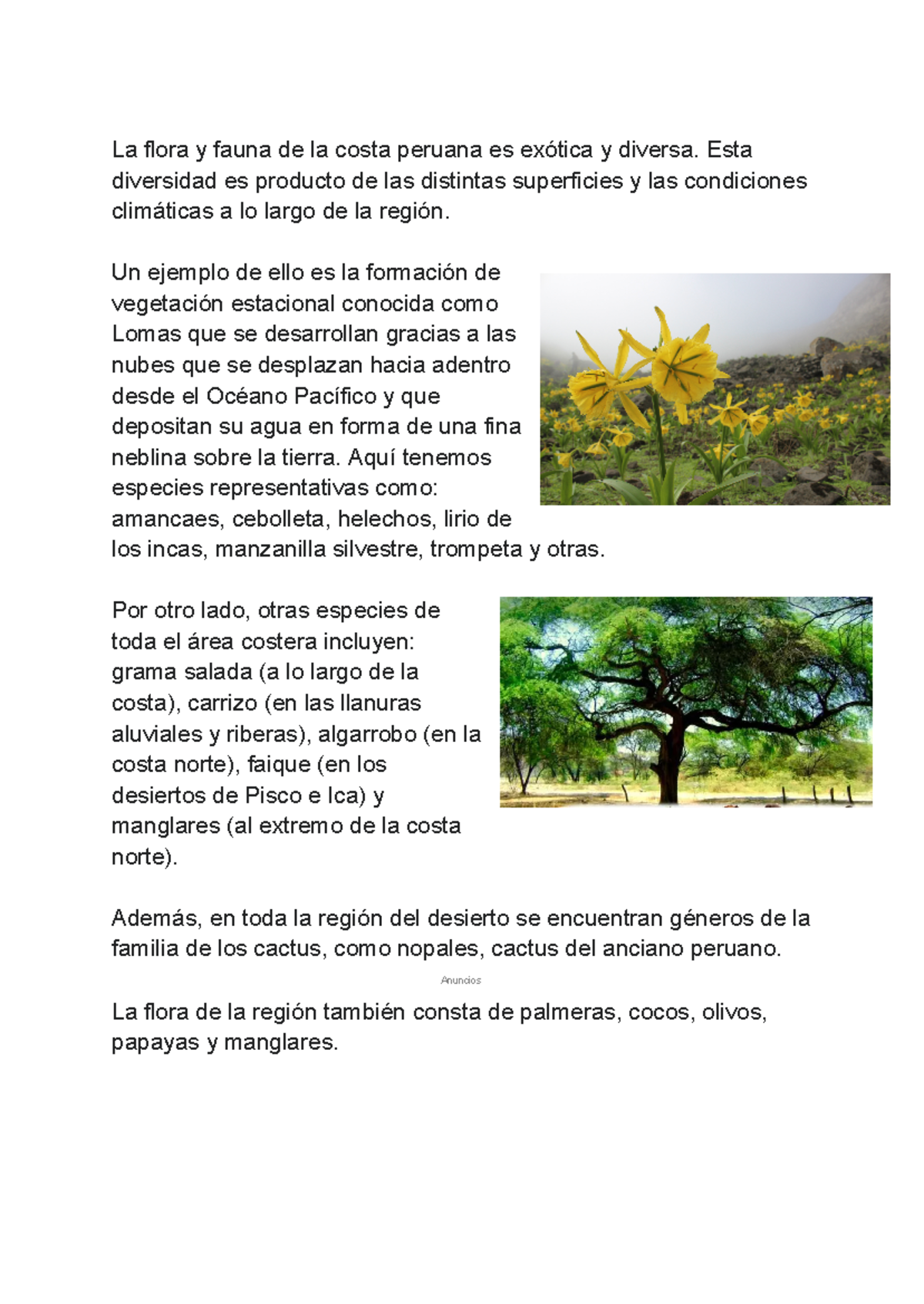 FLORA Y FAUNA DE LA COSTA PERUANA: DIVERSIDAD Y ESPECIES ...