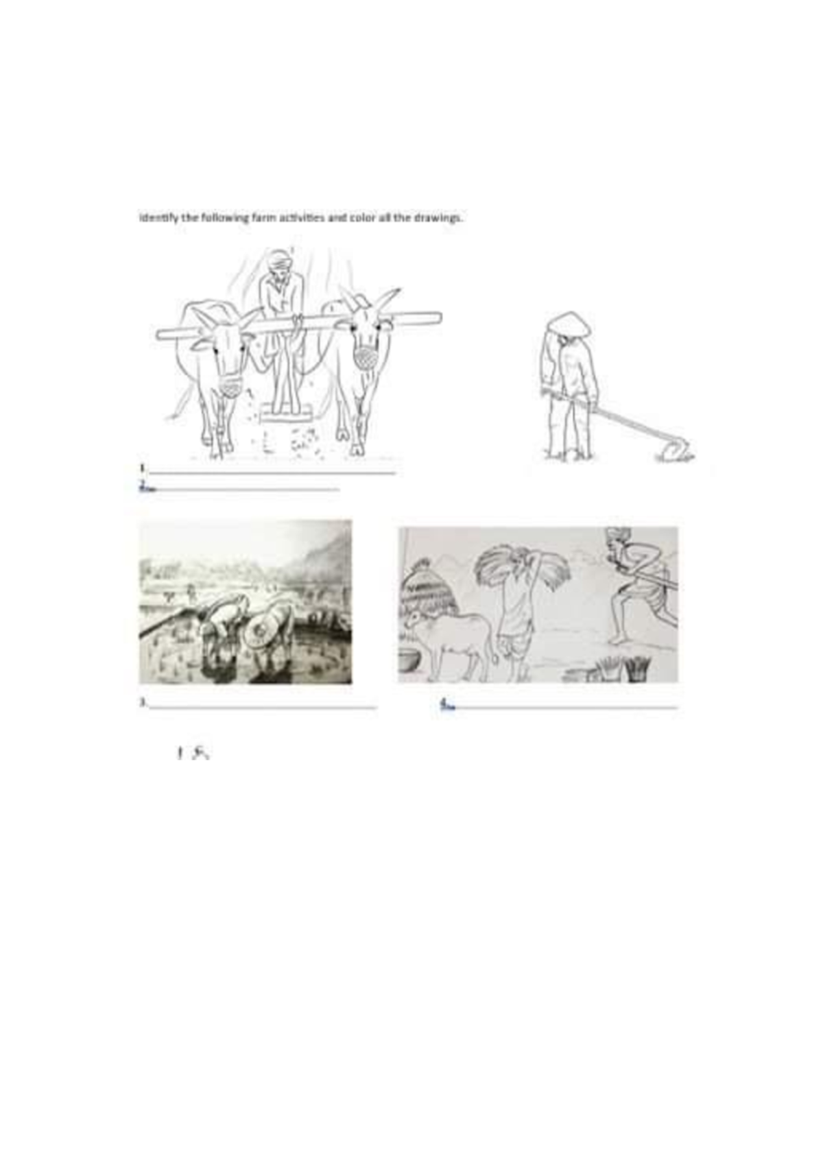 Document (25) - Printing for notes for the activities - Basic Education ...