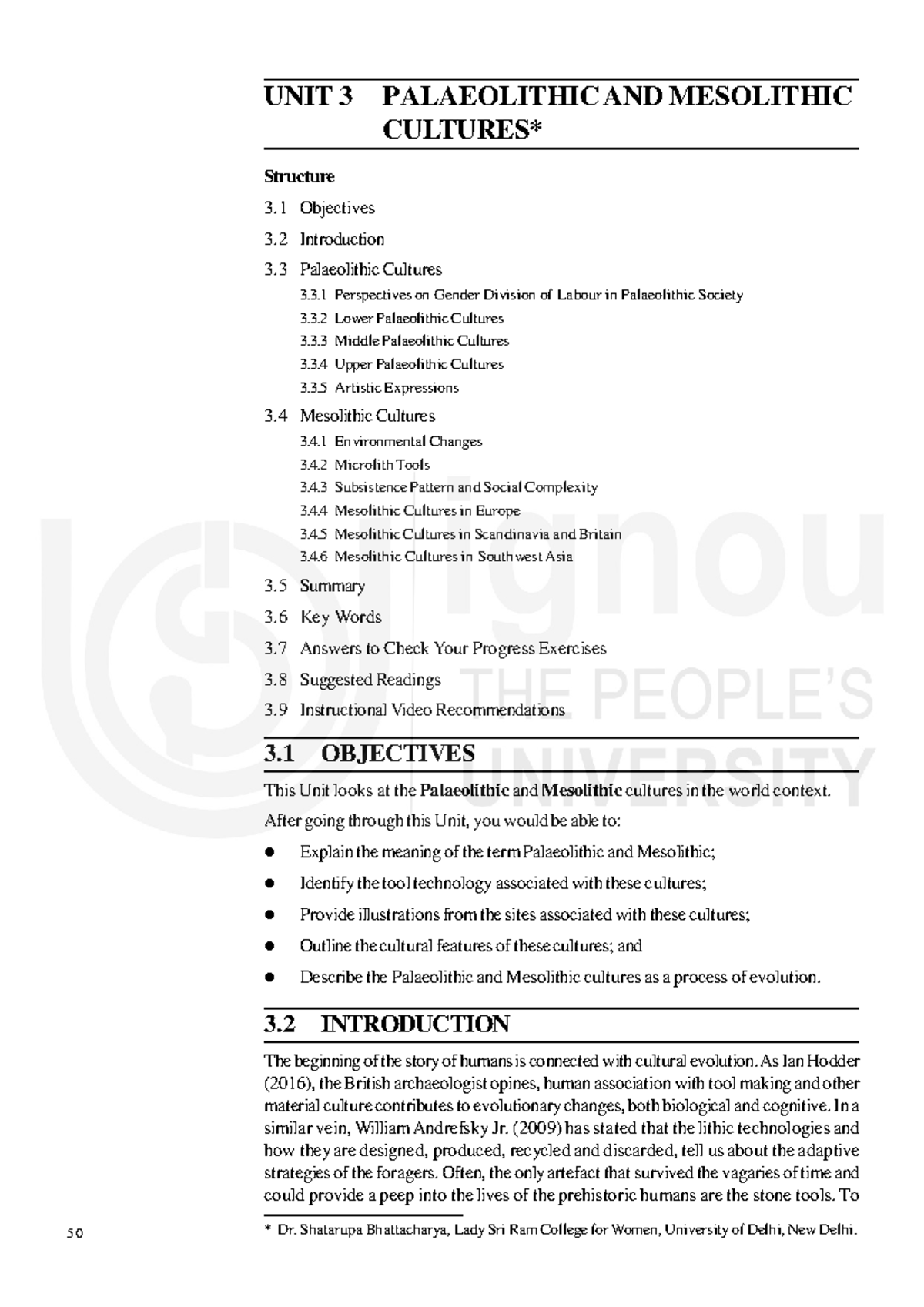 Unit 3: Palaeolithic and Mesolithic Cultures Overview and Key Insights ...