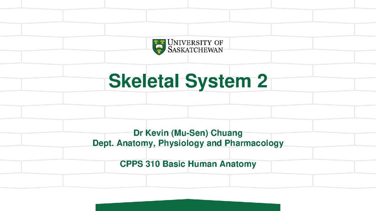 CPPS310 2024 Skeletal System 2 - Skeletal System 2 Dr Kevin (Mu-Sen ...