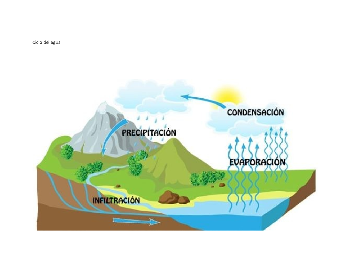 Ciclos biogeoquimicos - Ciclo del agua CONDENSACIÓN PRECIPITACIÓN ...